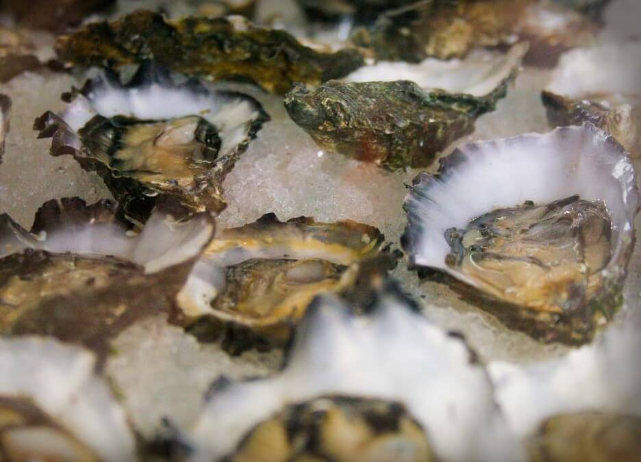 Chuck, don't shuck, Drakes Bay oysters – SFBay